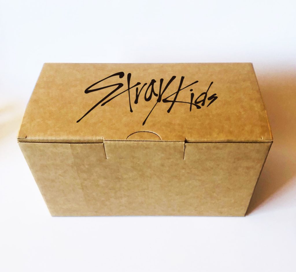 StrayKids Box 4 productos – CREATIBOX
